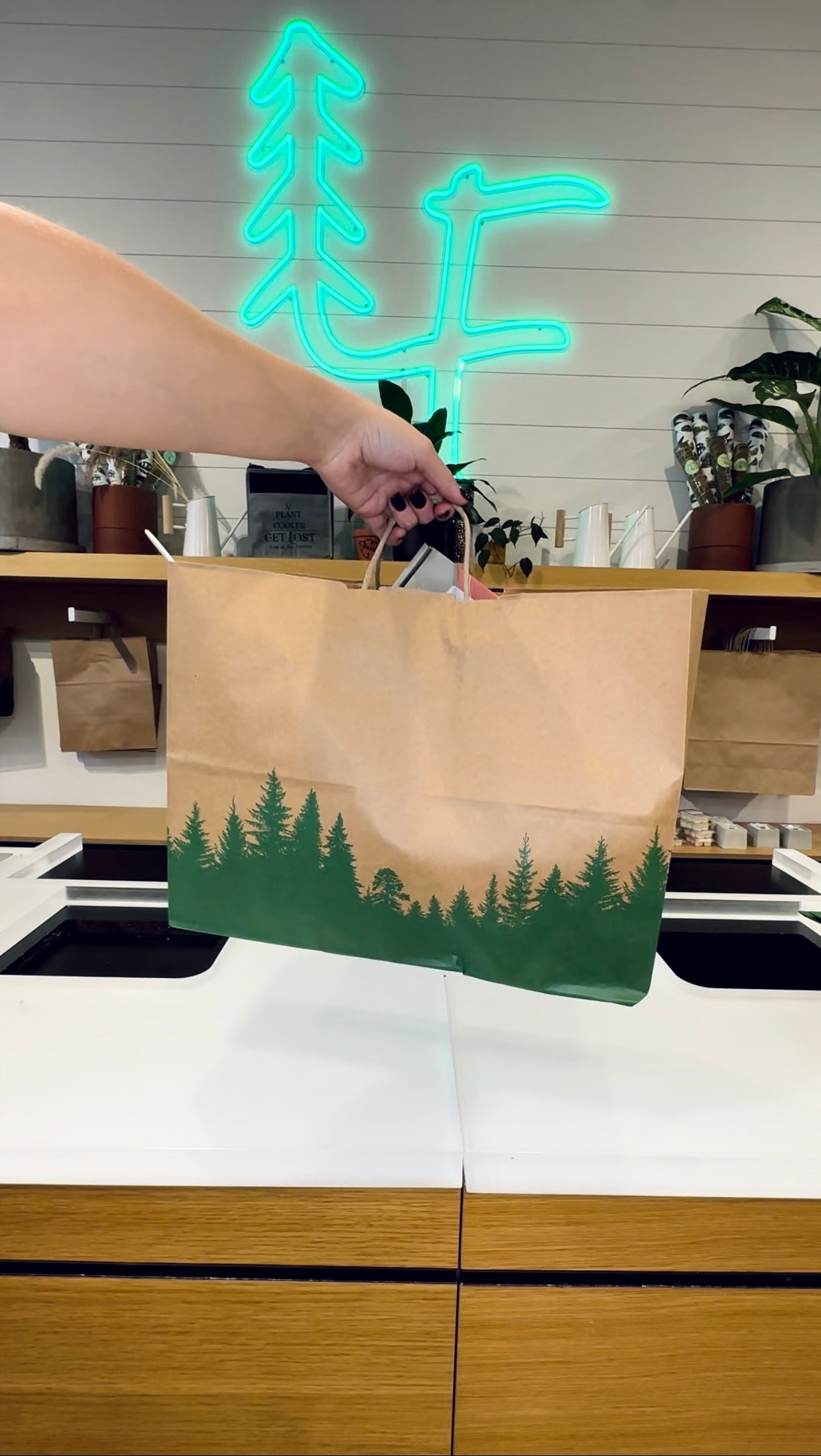 LITF Planty Product Guide – Lost in the Forrest