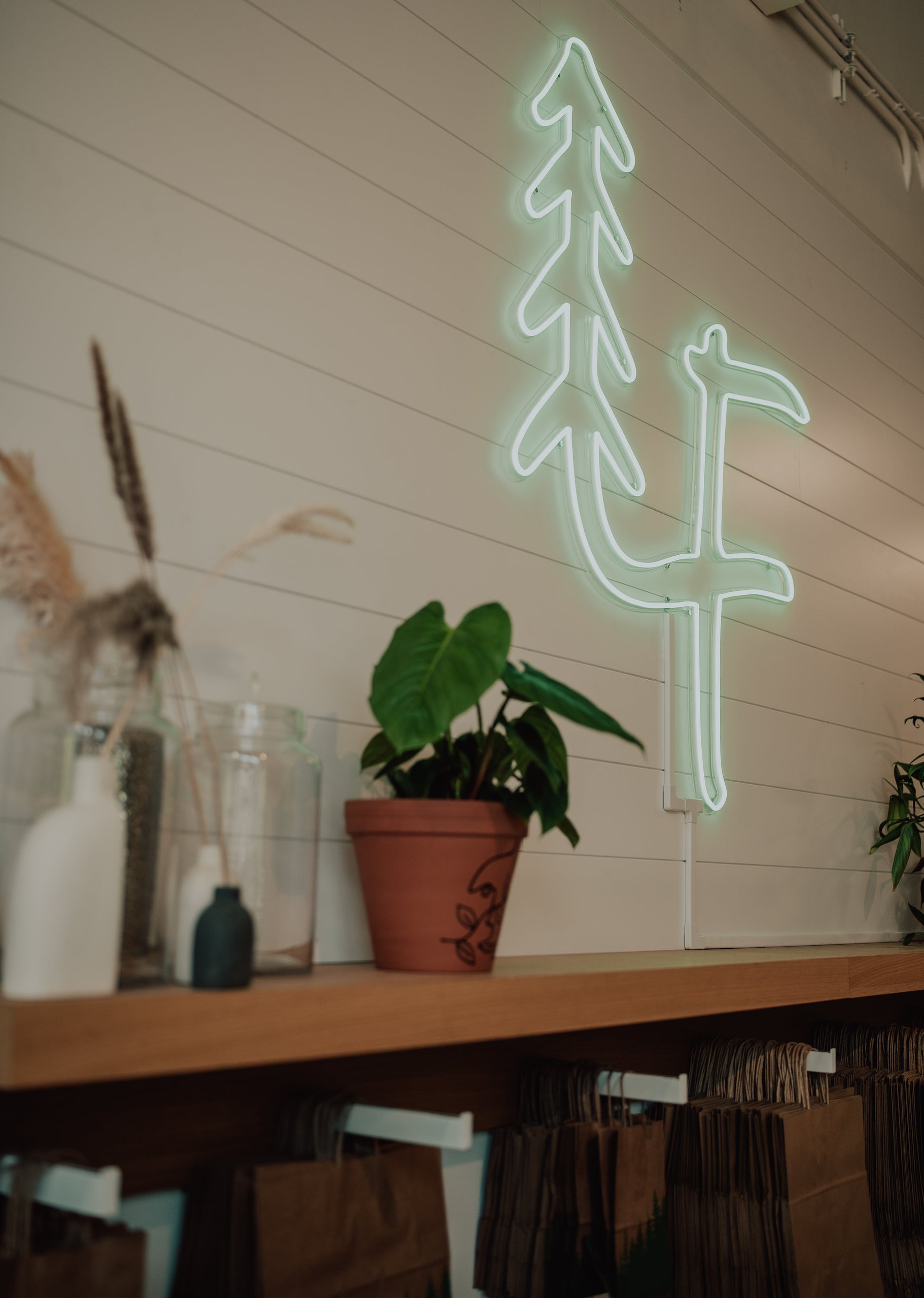 Lost in the Forrest | Minnesota Houseplants and Gifts