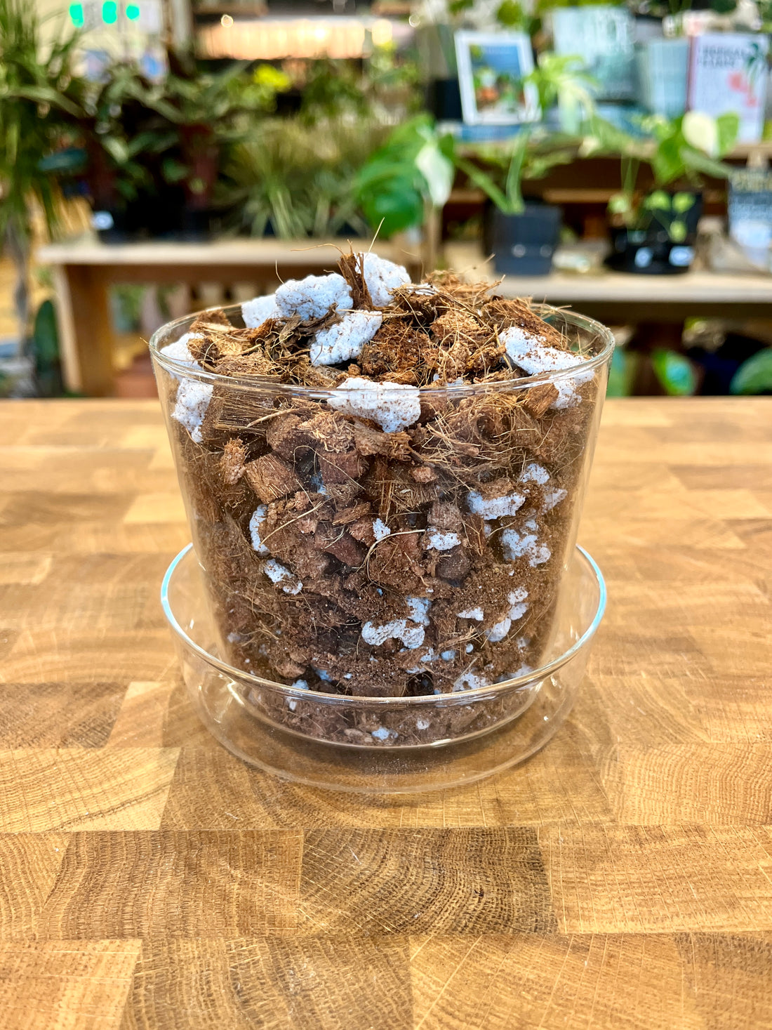 Chunky Potting Mix; why its important & our 3-ingredient recipe! – Lost ...